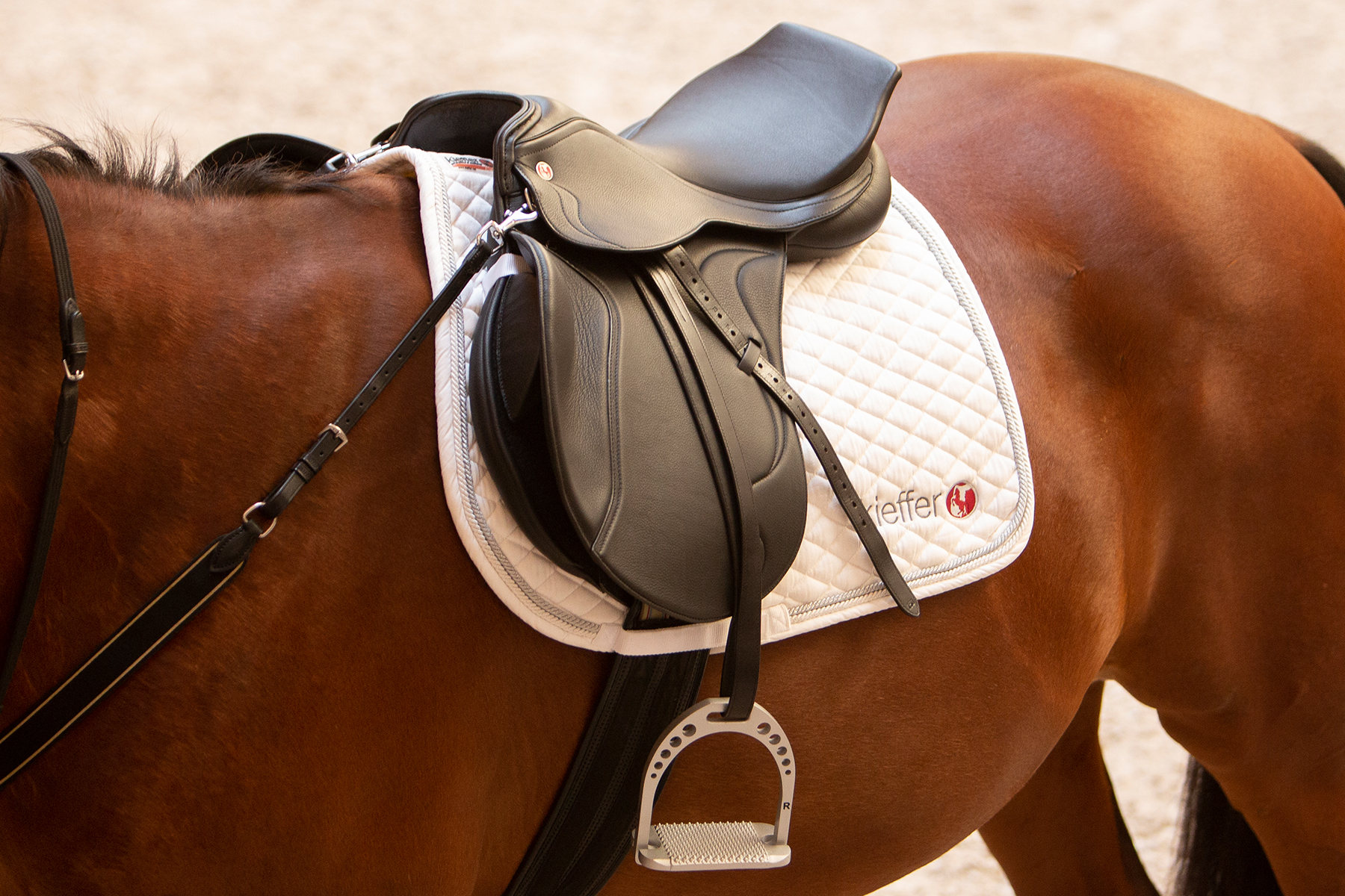 Aufbau des Sattels – aus welchen Teilen besteht der Sattel? – kiefferMAG